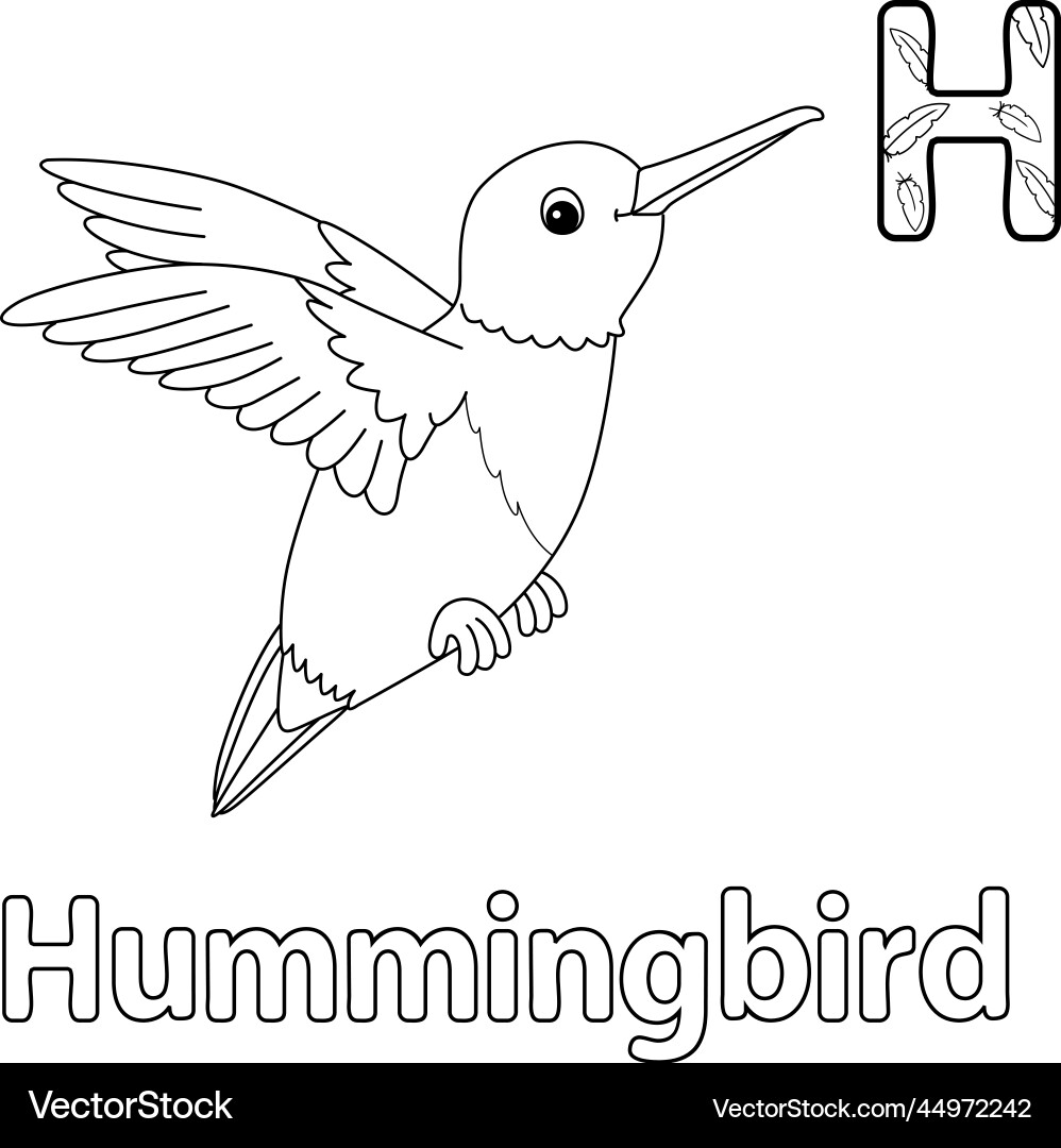 Hummingbird alphabet abc isolated coloring page h Vector Image
