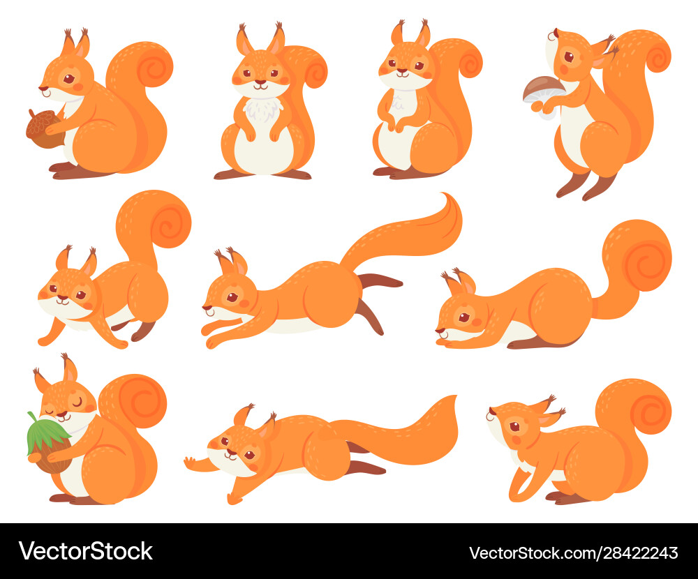 Cartoon squirrel cute squirrels with red furry Vector Image
