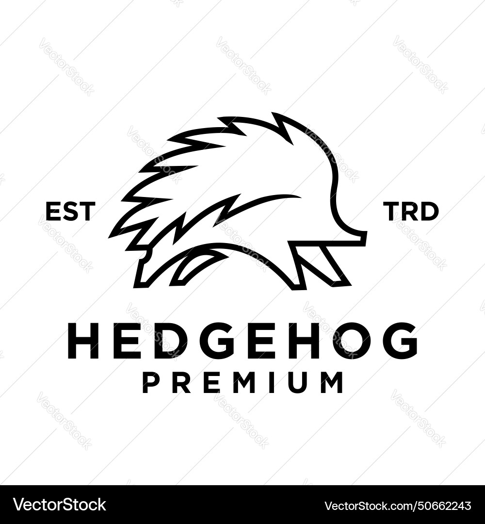 Hedgehog logo icon design Royalty Free Vector Image