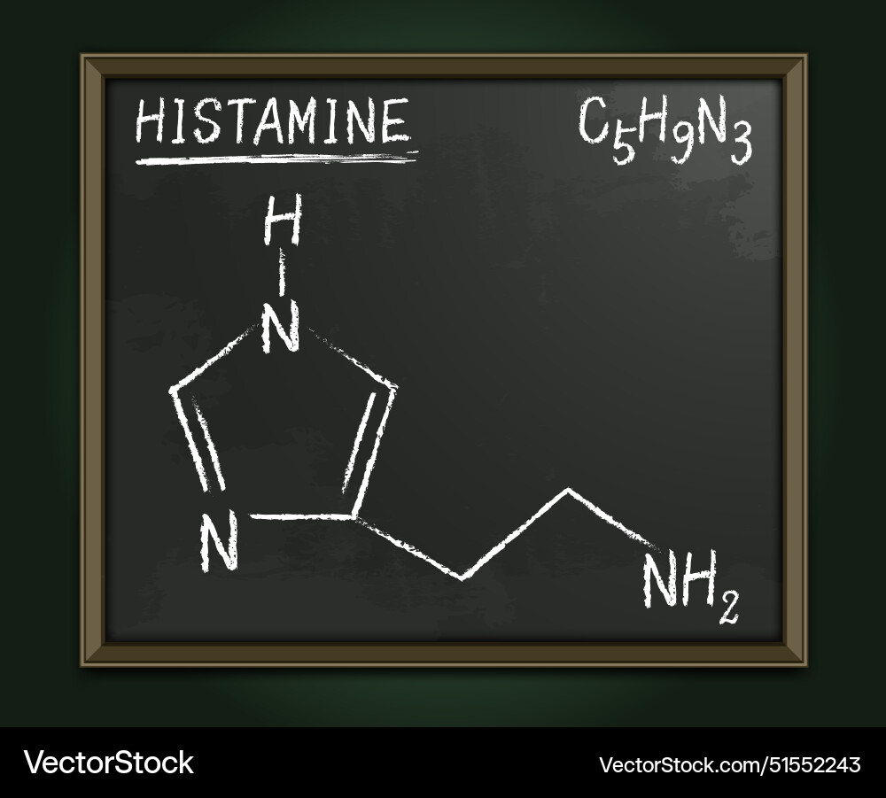 Histamine molecule structure on the classroom Vector Image
