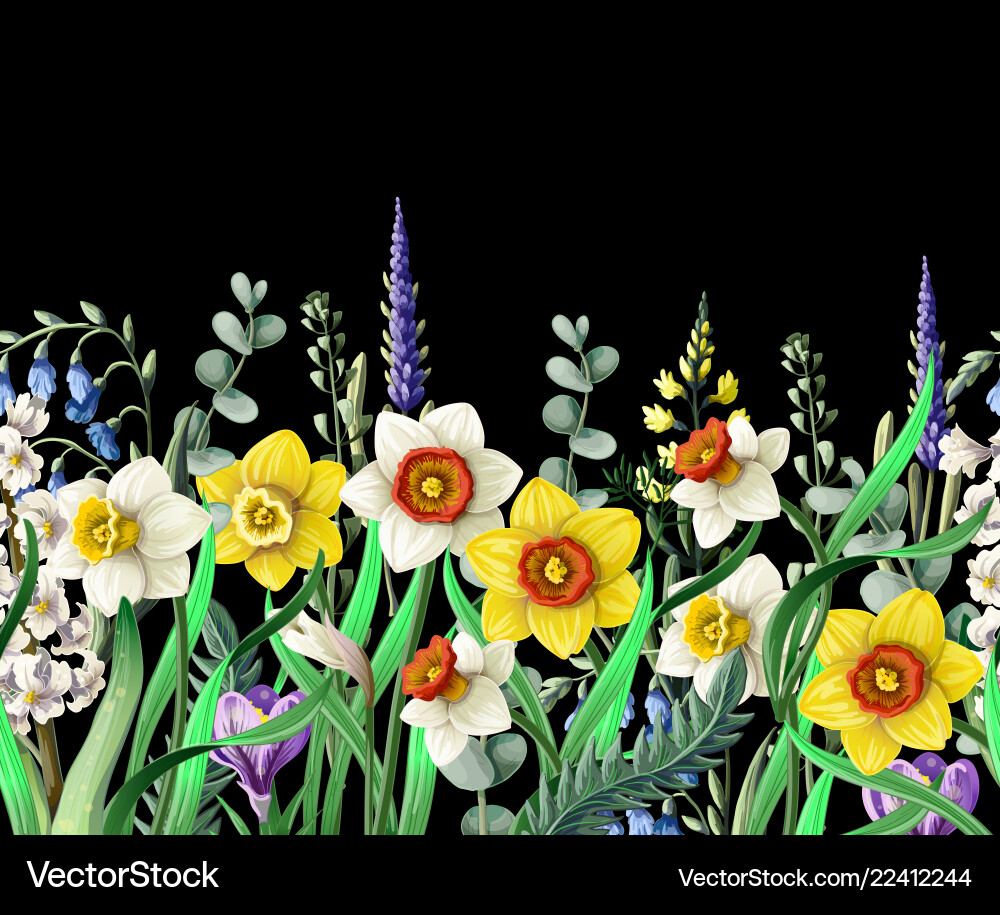 Daffodil Floral Border Royalty Free Vector Image