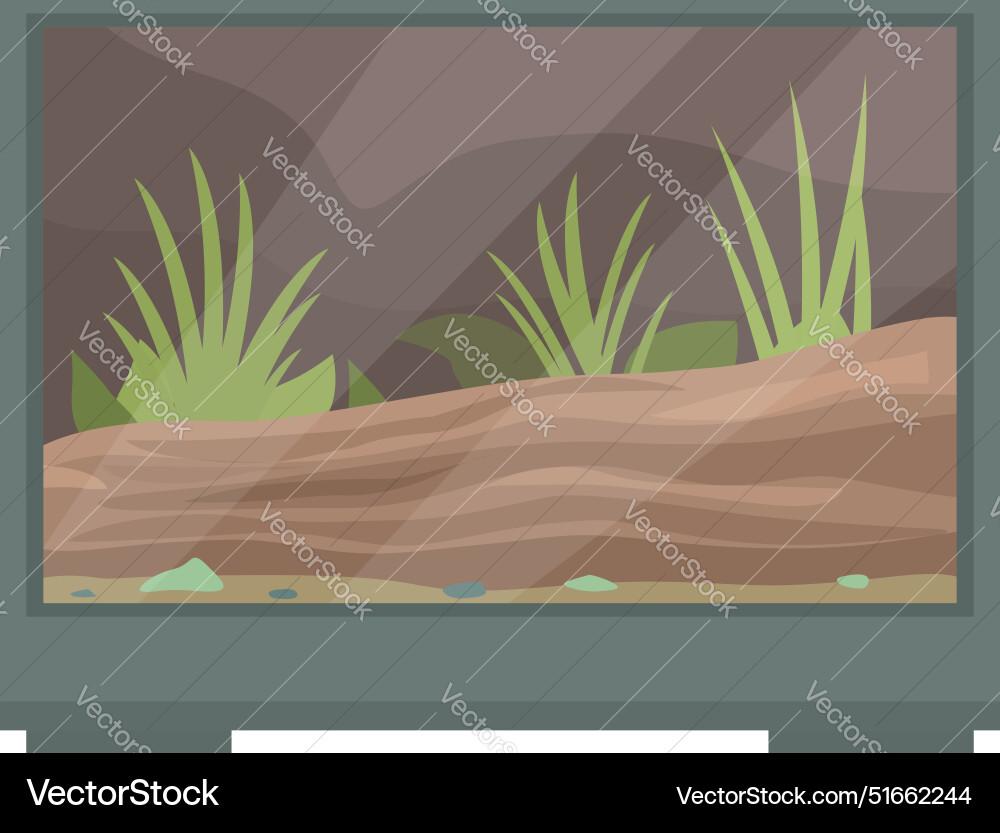 Empty terrarium with substrate and plants Vector Image