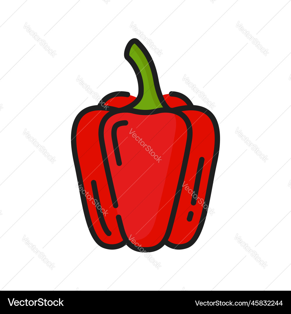 Raw red vegetable capsicum bulgarian bell pepper Vector Image