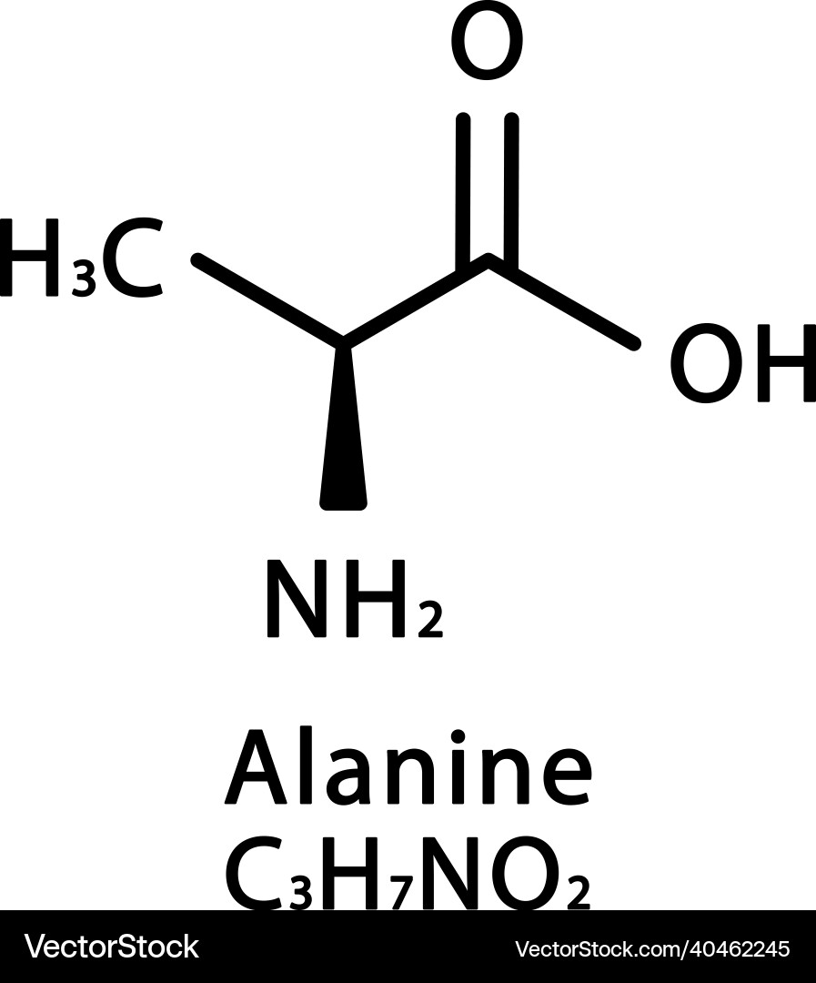 Alanine molecular structure skeletal Royalty Free Vector