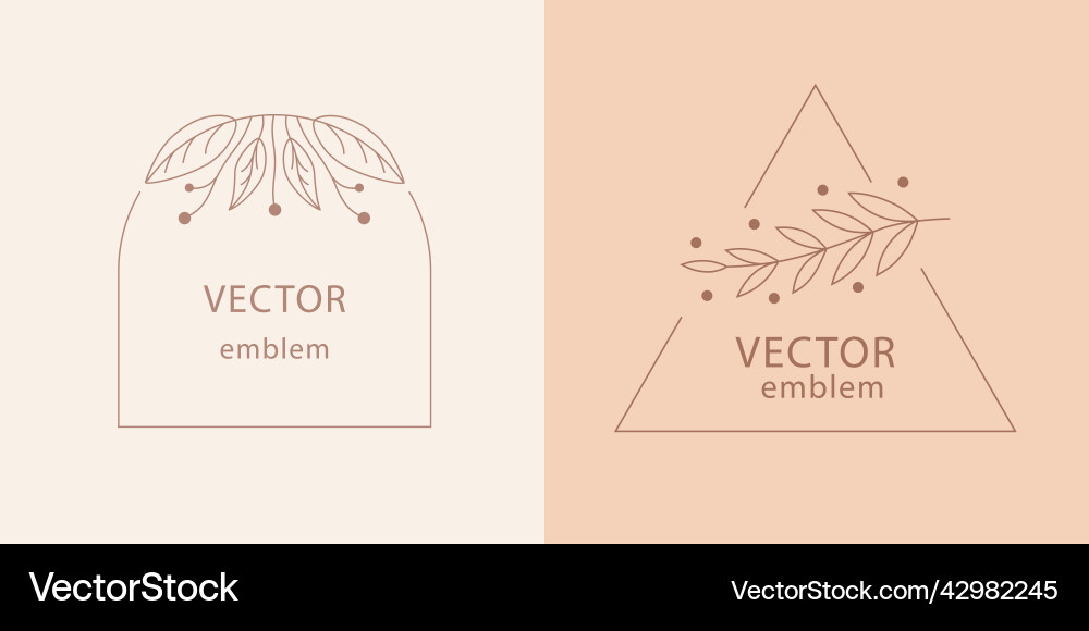 Leaf monogram set hand drawn ornamental leaves Vector Image