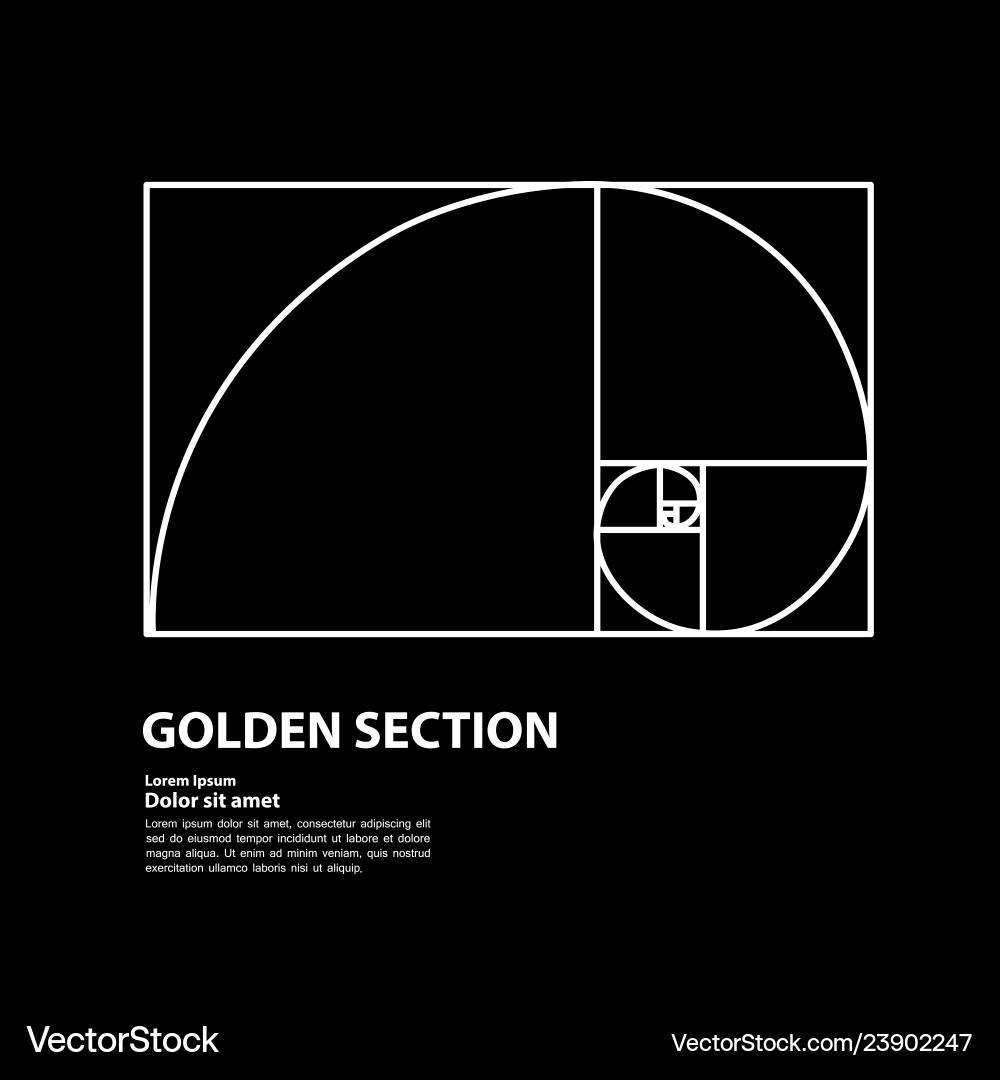 Golden ratio for creative design section Vector Image