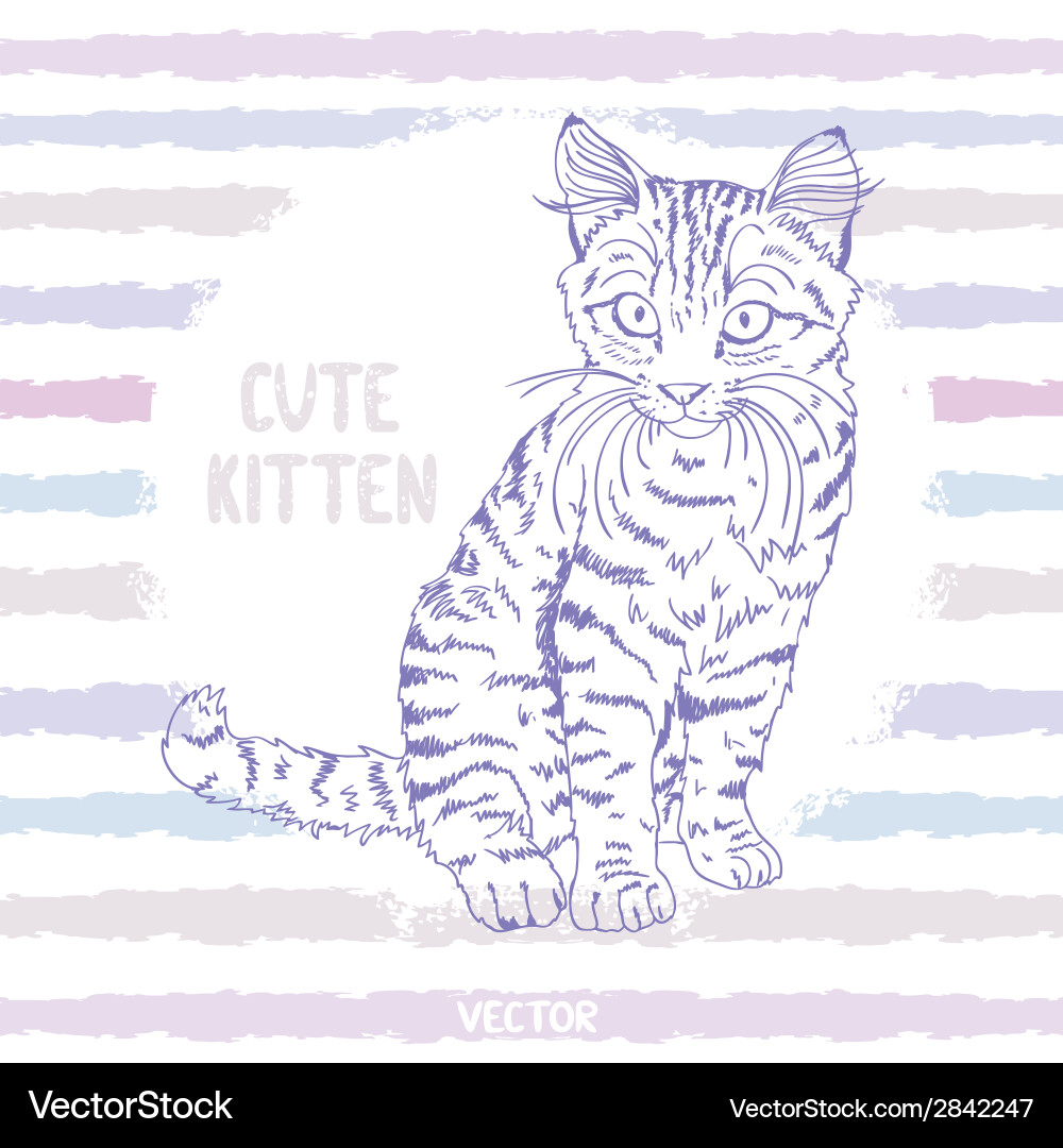 Kitten sketch Royalty Free Vector Image - VectorStock