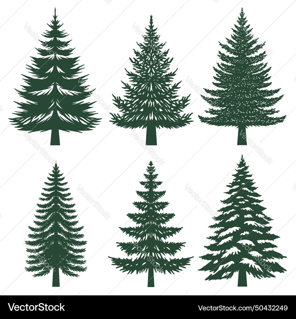 Pine tree silhouette set collection Royalty Free Vector