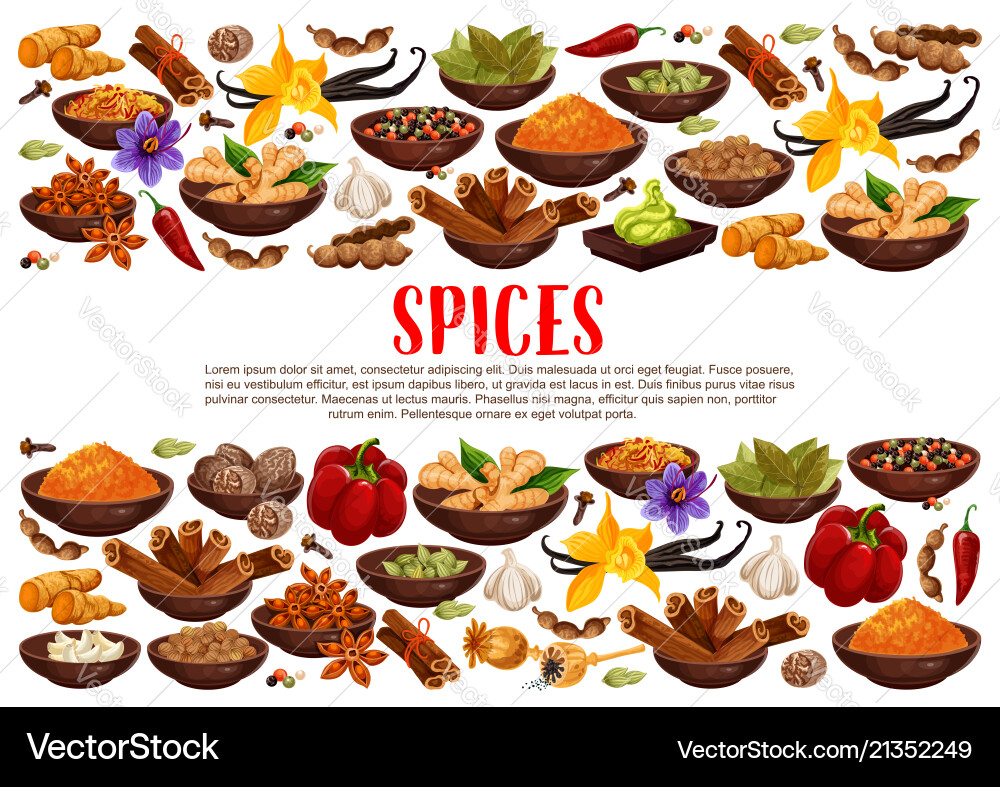 Spices and condiments cooking ingredients poster Vector Image