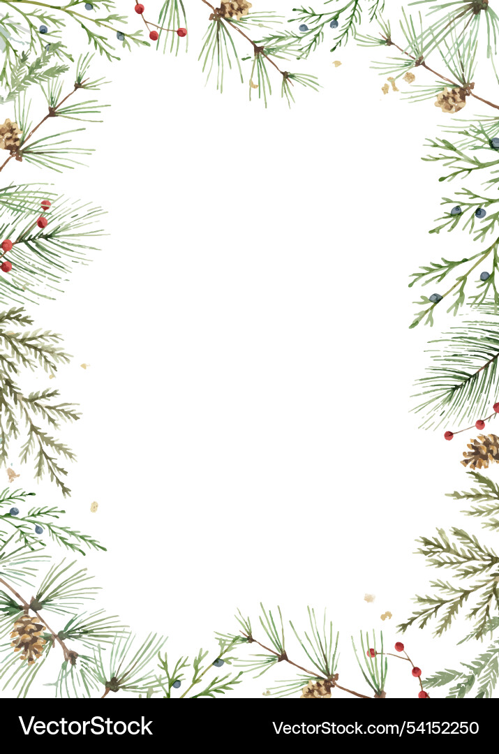 Christmas greenery fir branches frame borders for Vector Image