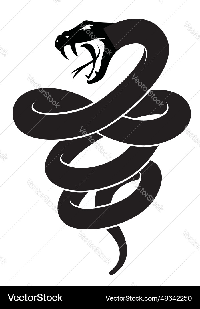 Snake Royalty Free Vector Image - VectorStock