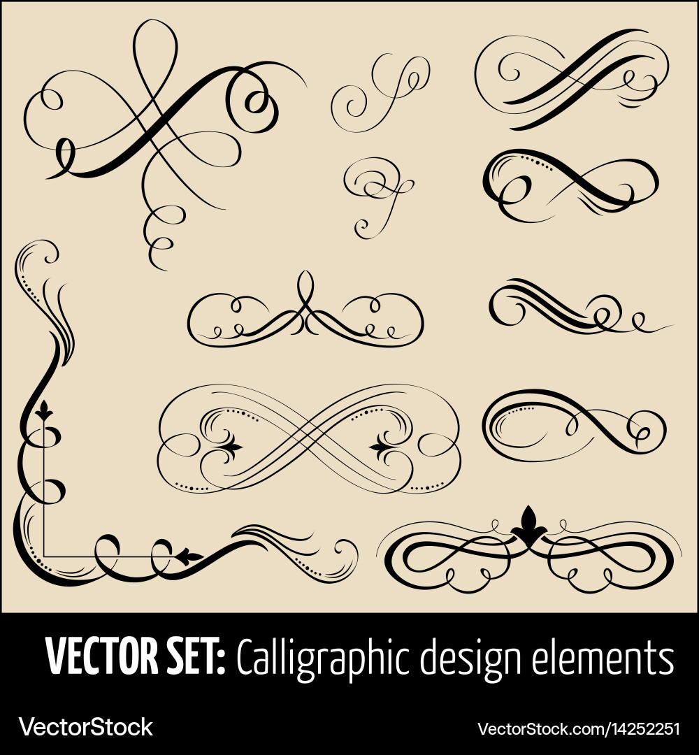 Elegant Calligraphic Page Elements Royalty Free Vector Image