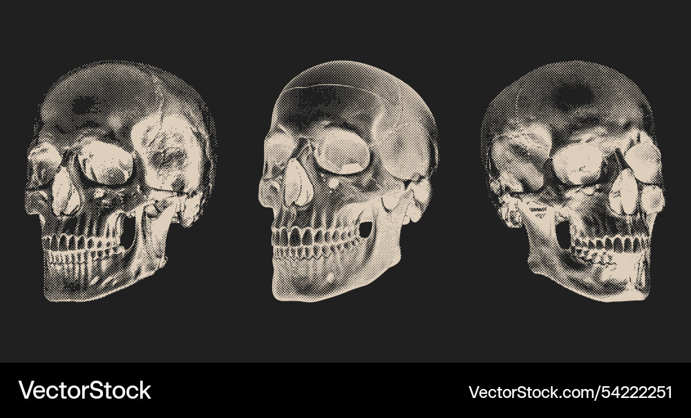 Skull Side Profile Vector Images (over 350)