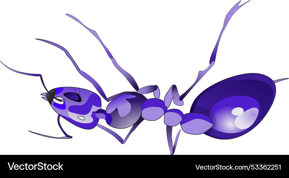Violet ant Royalty Free Vector Image - VectorStock