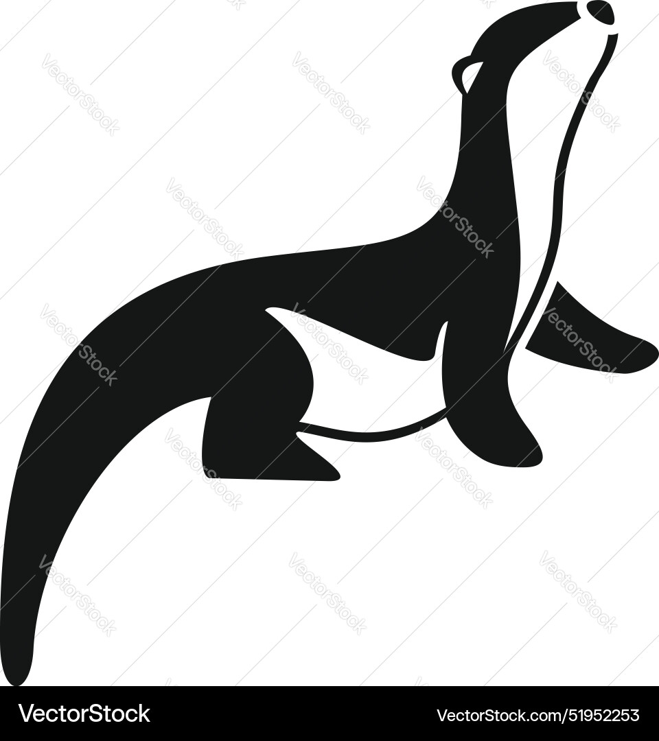 Black and white badger standing looking up icon Vector Image