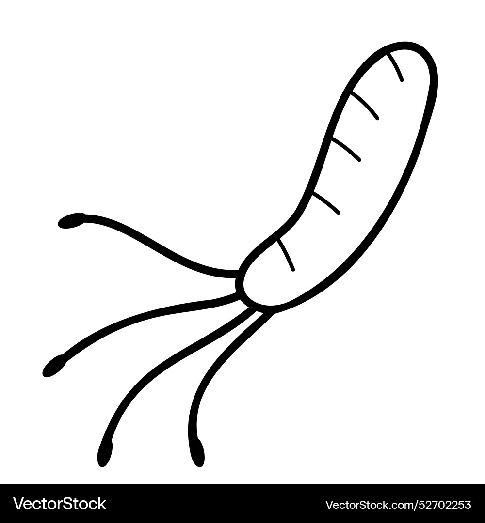Helicobacter pylori line icon isolated on white Vector Image
