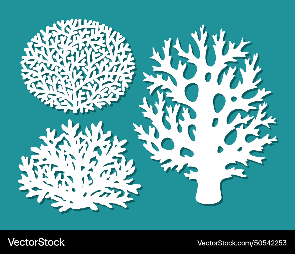 Set of sea corals Royalty Free Vector Image - VectorStock