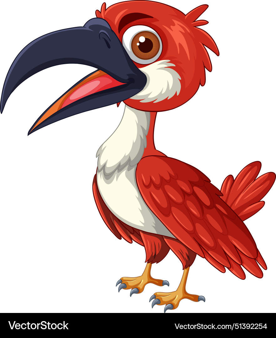 A vibrant red bird with large beak Royalty Free Vector Image