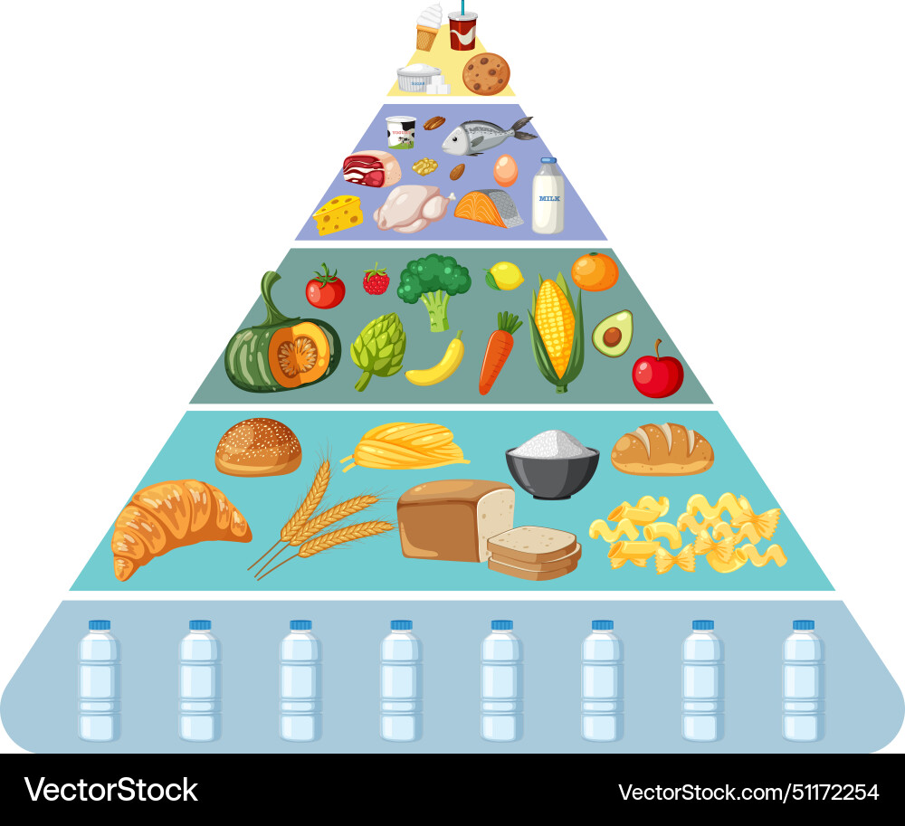 Food pyramid with various food groups Royalty Free Vector