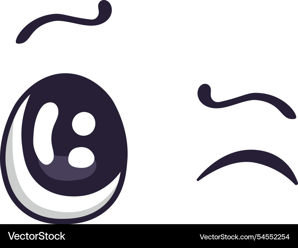 Winking cartoon eye with a raised eyebrow Vector Image