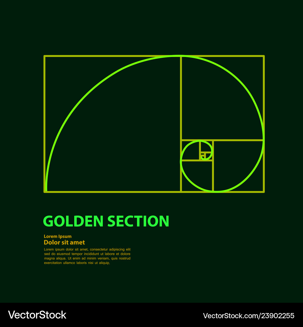 Golden ratio for creative design section Vector Image