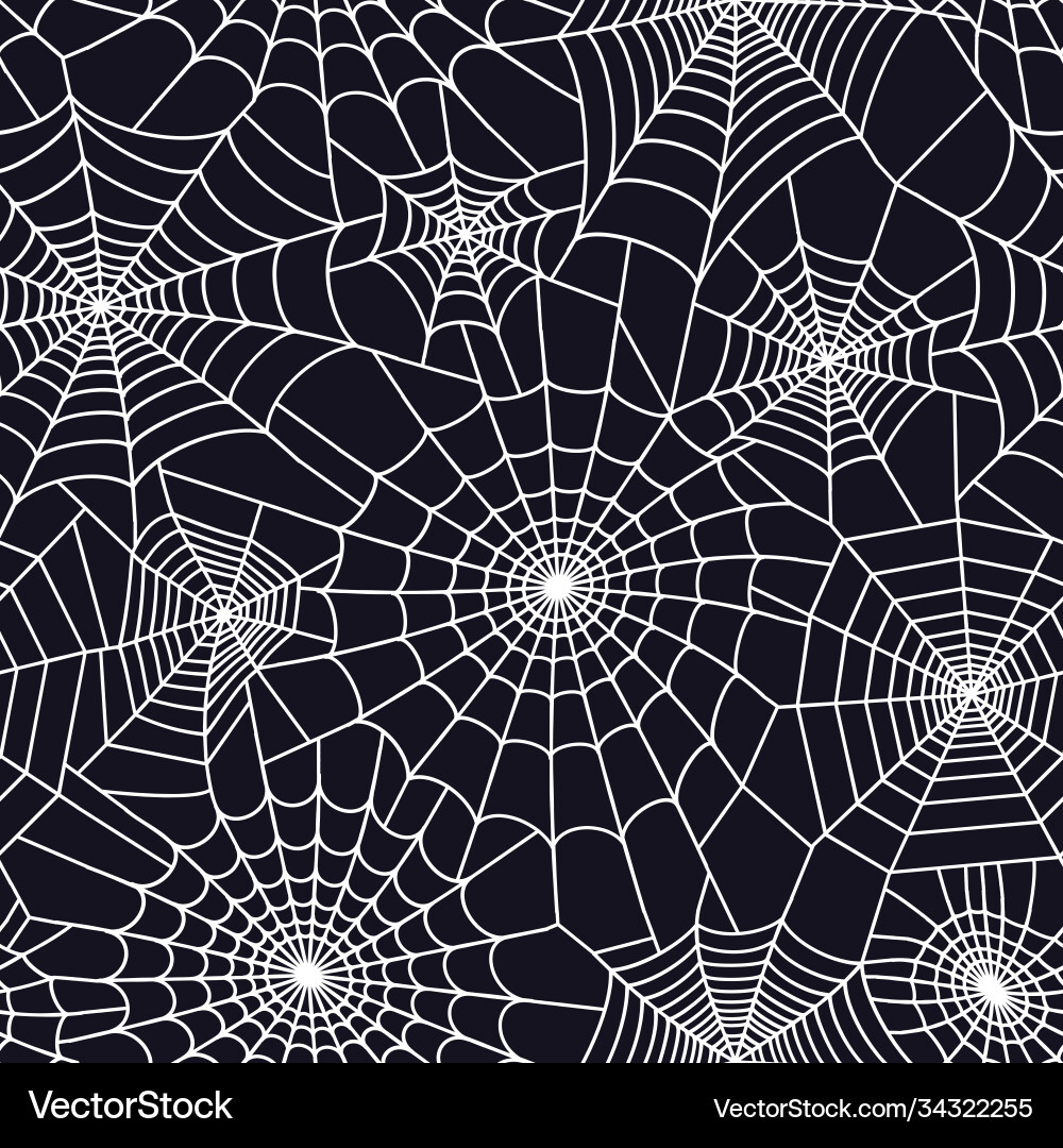 Spider web concept Royalty Free Vector Image - VectorStock