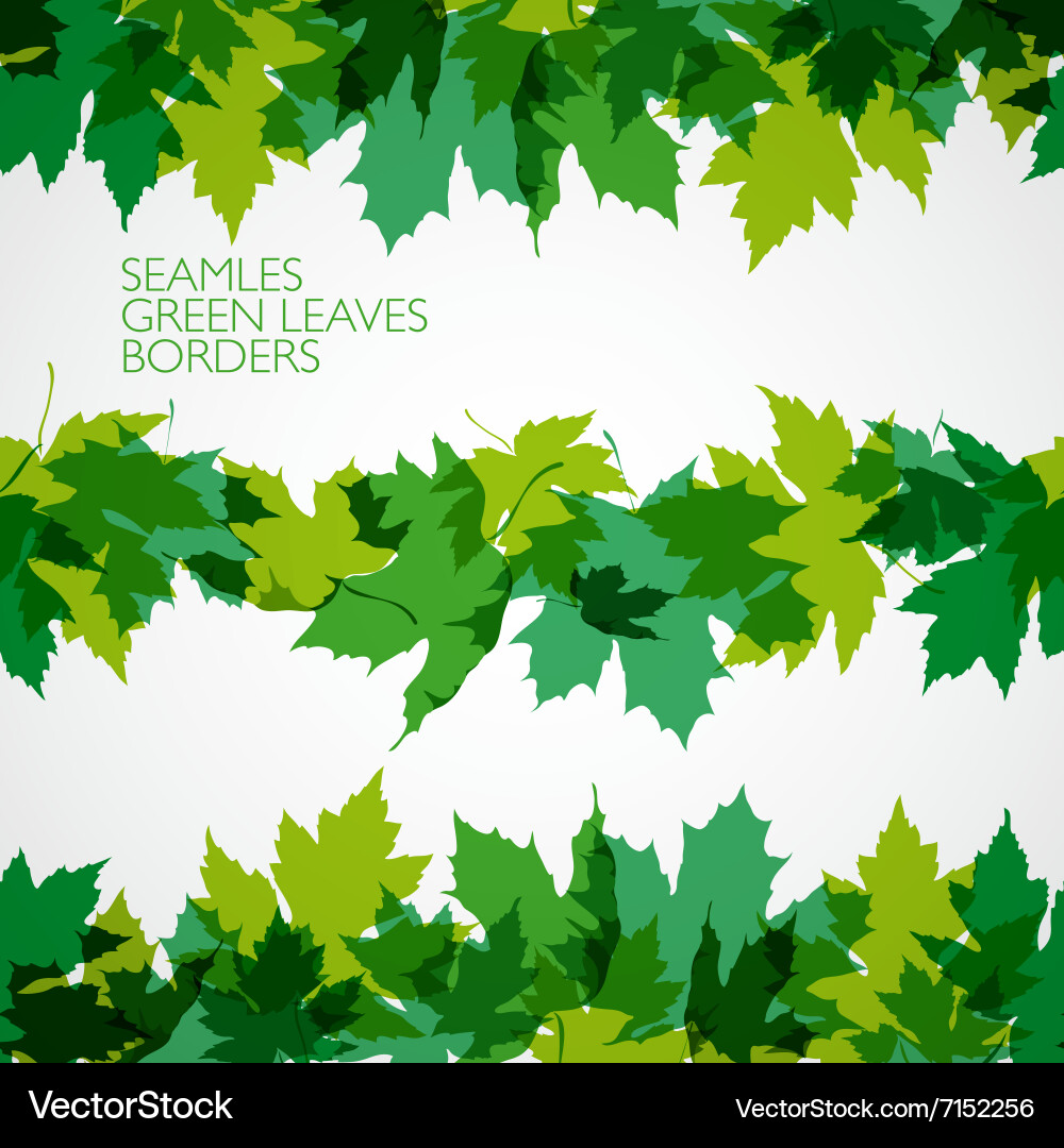 Border with green leaves Royalty Free Vector Image