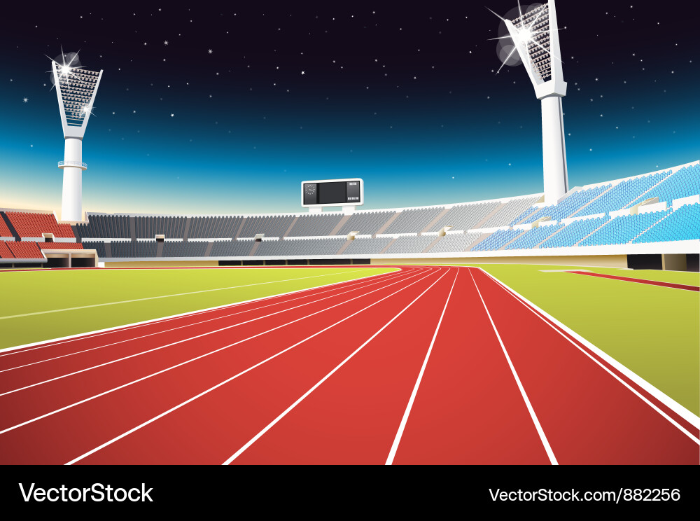 Sports stadium Royalty Free Vector Image - VectorStock