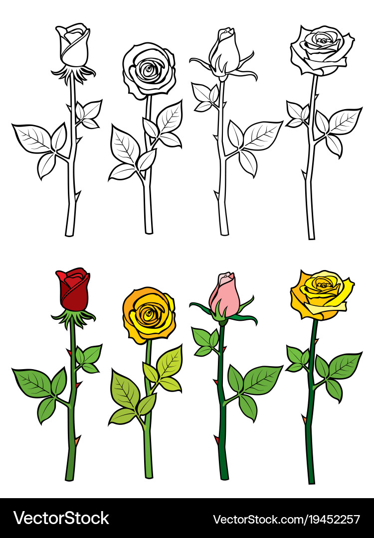 Hand drawn rose coloring page Royalty Free Vector Image