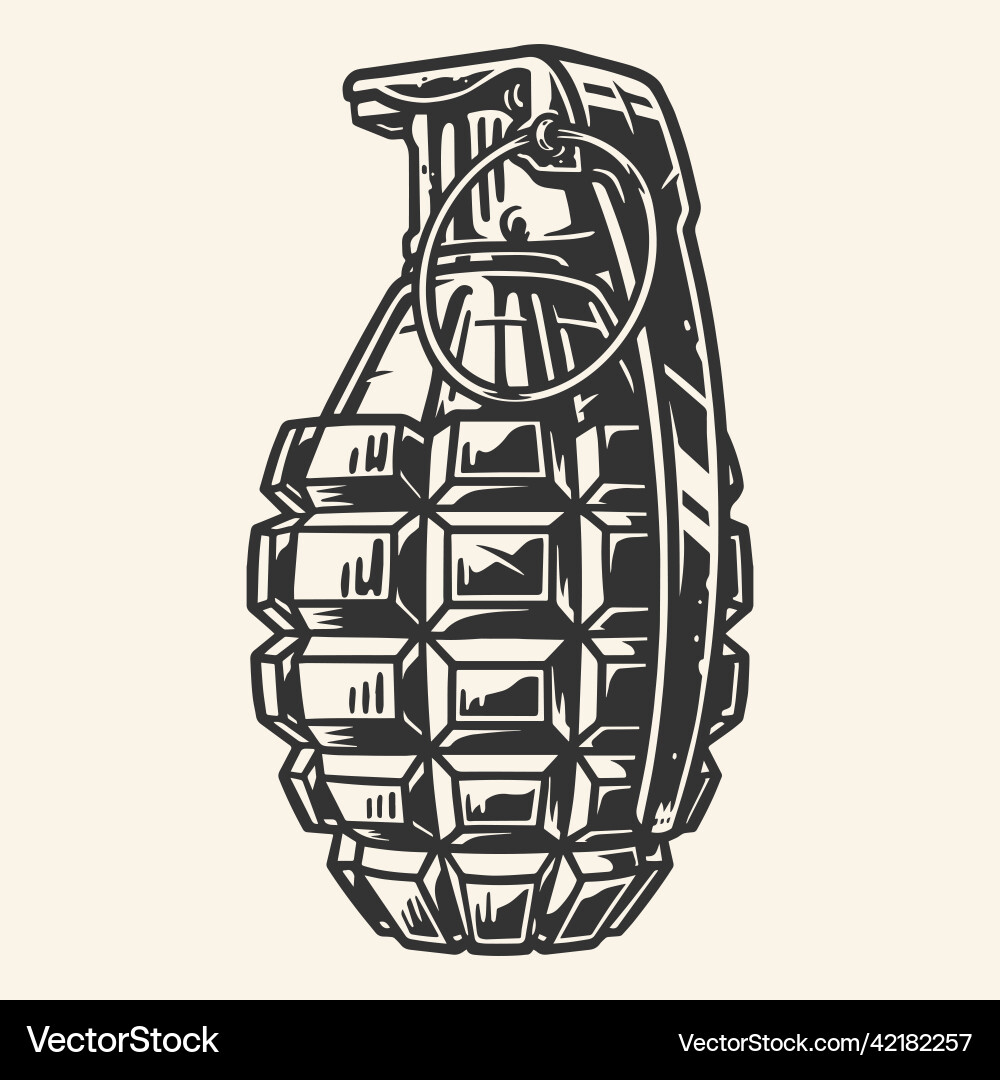 Military grenade vintage element monochrome Vector Image