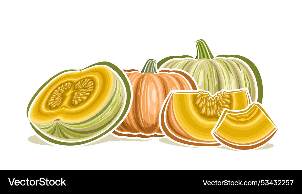 Pumpkin logo Royalty Free Vector Image - VectorStock
