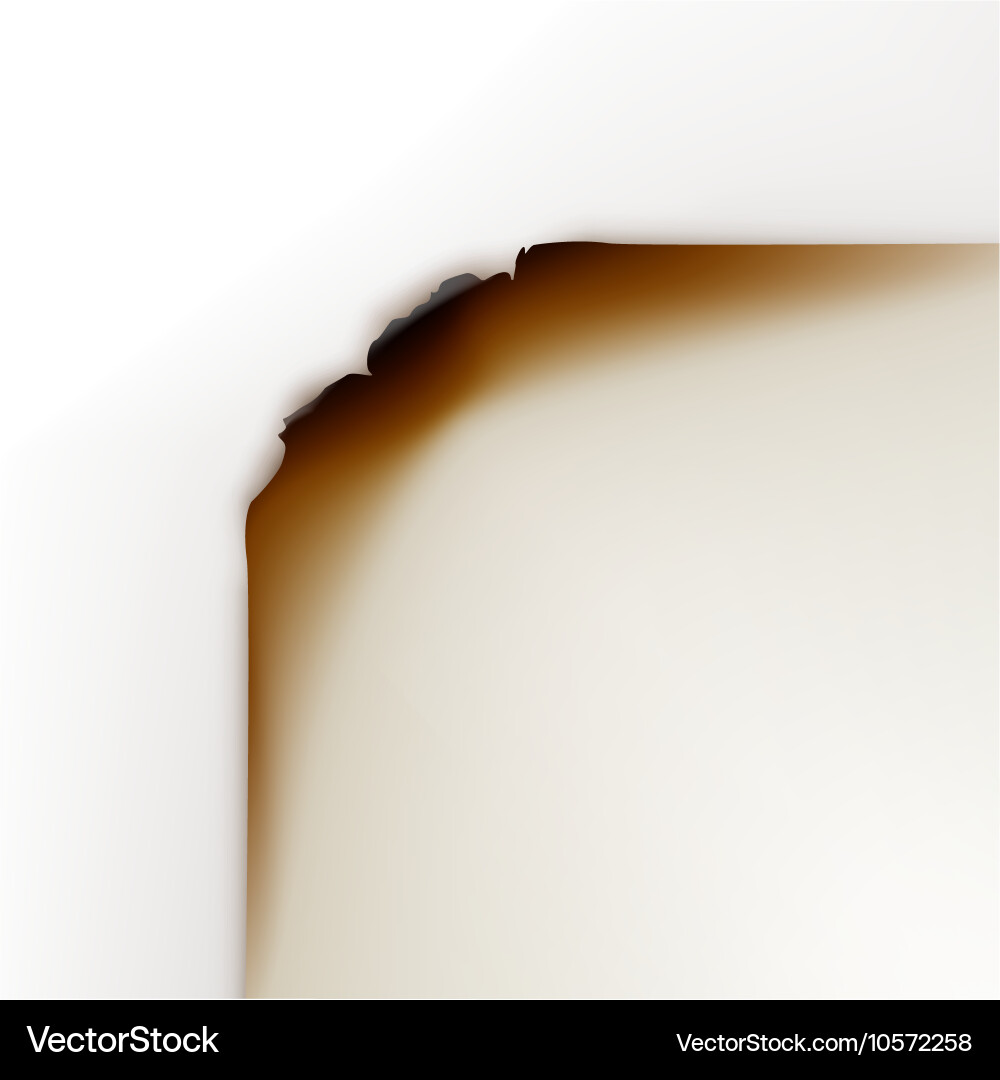 Burned paper edges on white background Royalty Free Vector