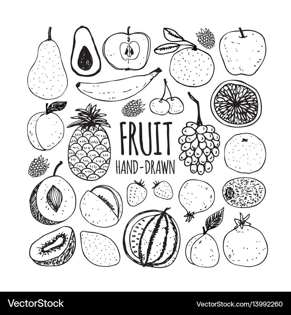 Doodle Fruit Set Royalty Free Vector Image - VectorStock