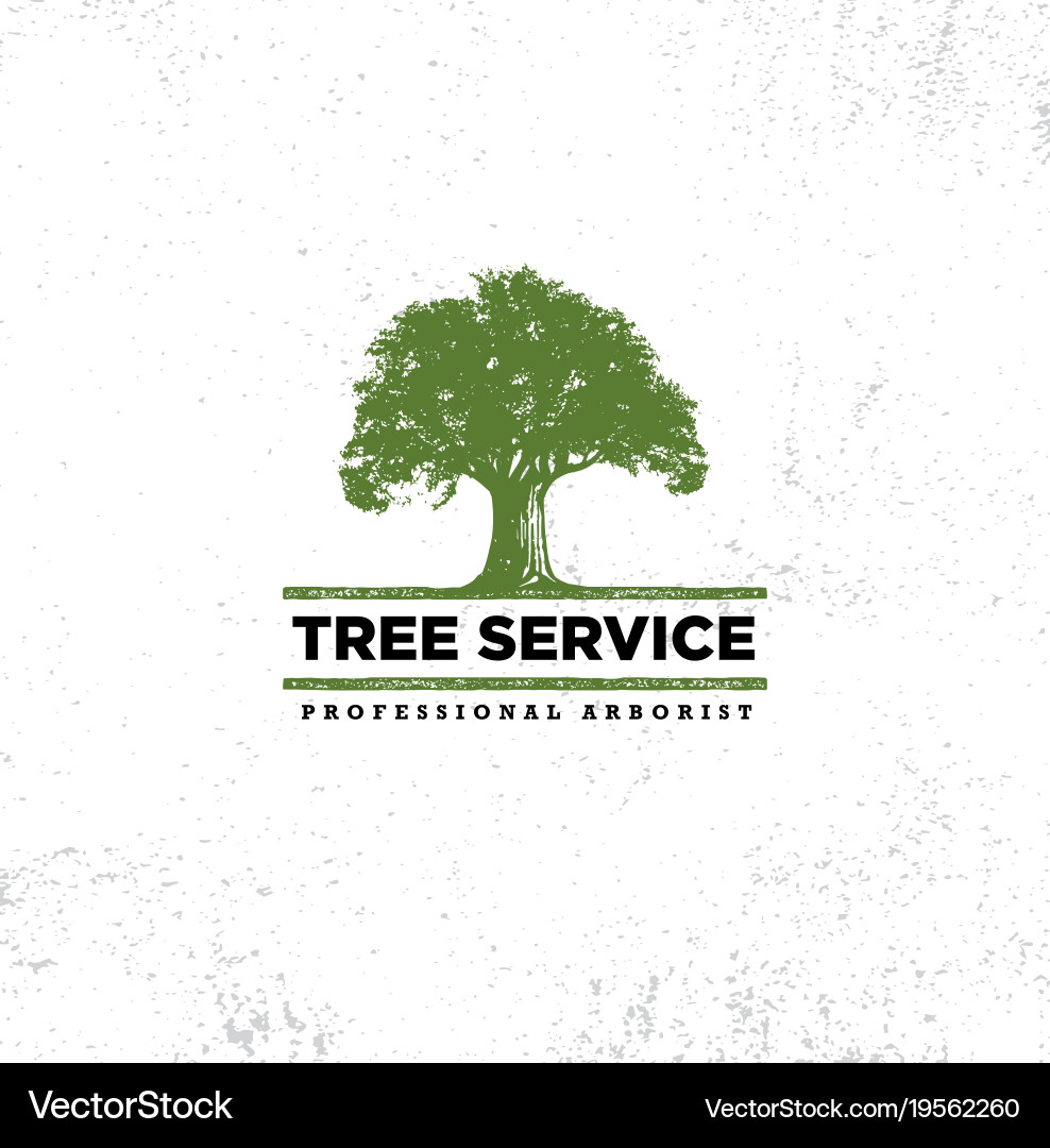 Professional arborist tree care service organic Vector Image