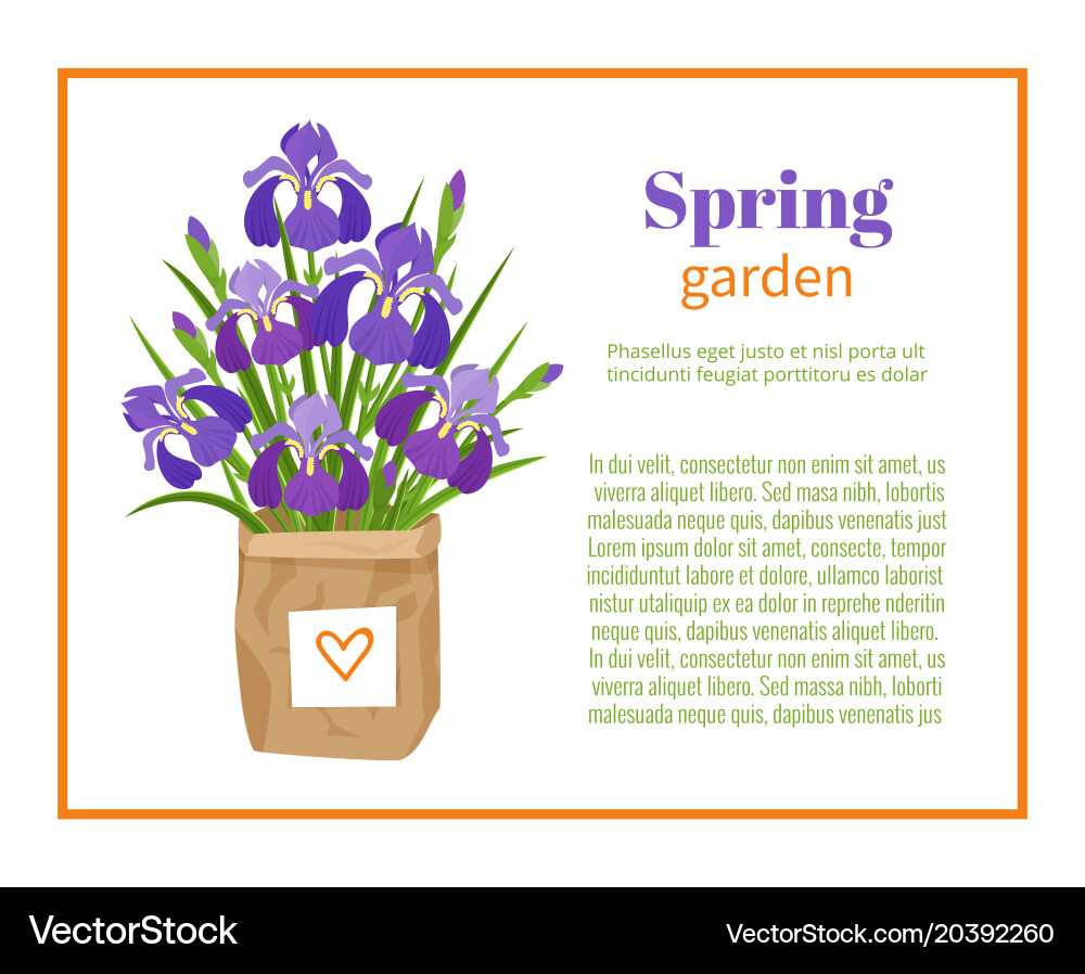 Spring garden flower brochure design backgrounds Vector Image