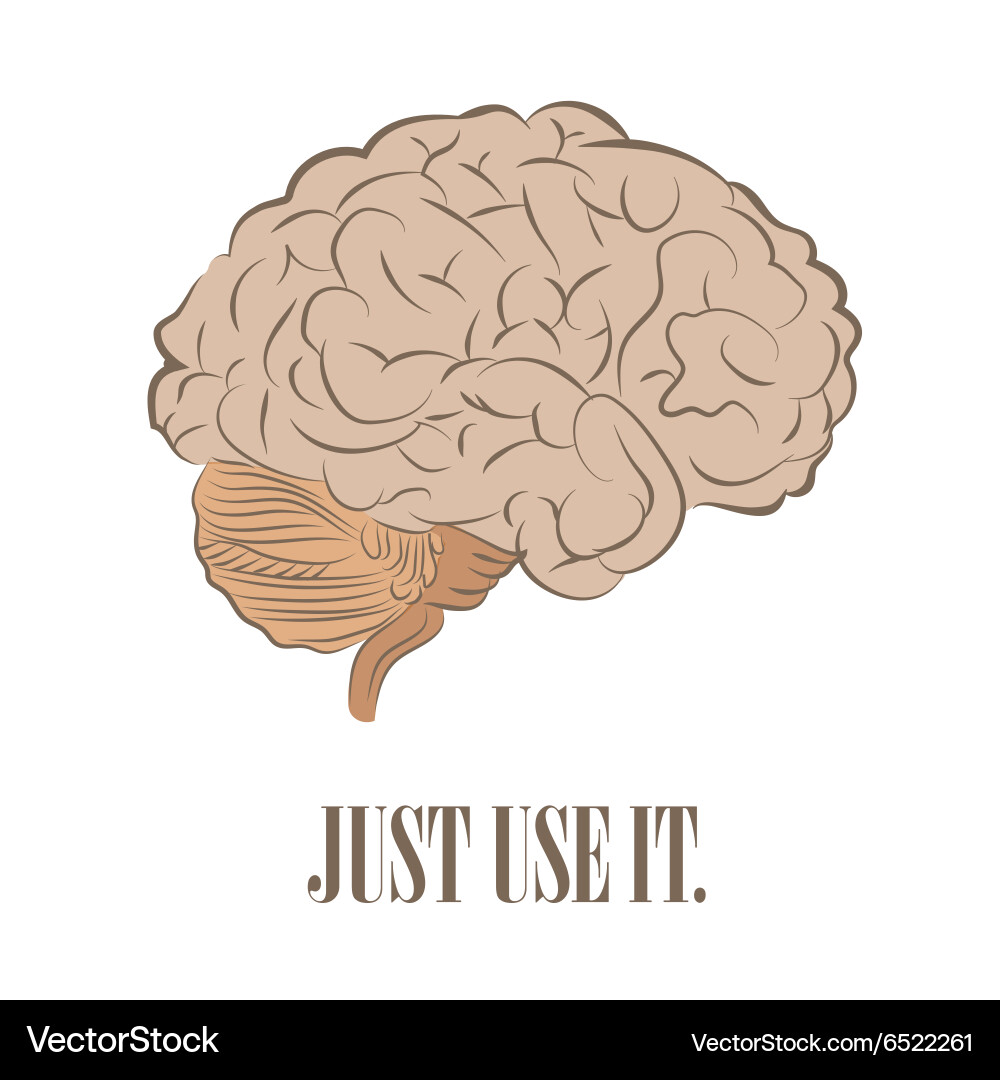 Brain front just use Royalty Free Vector Image