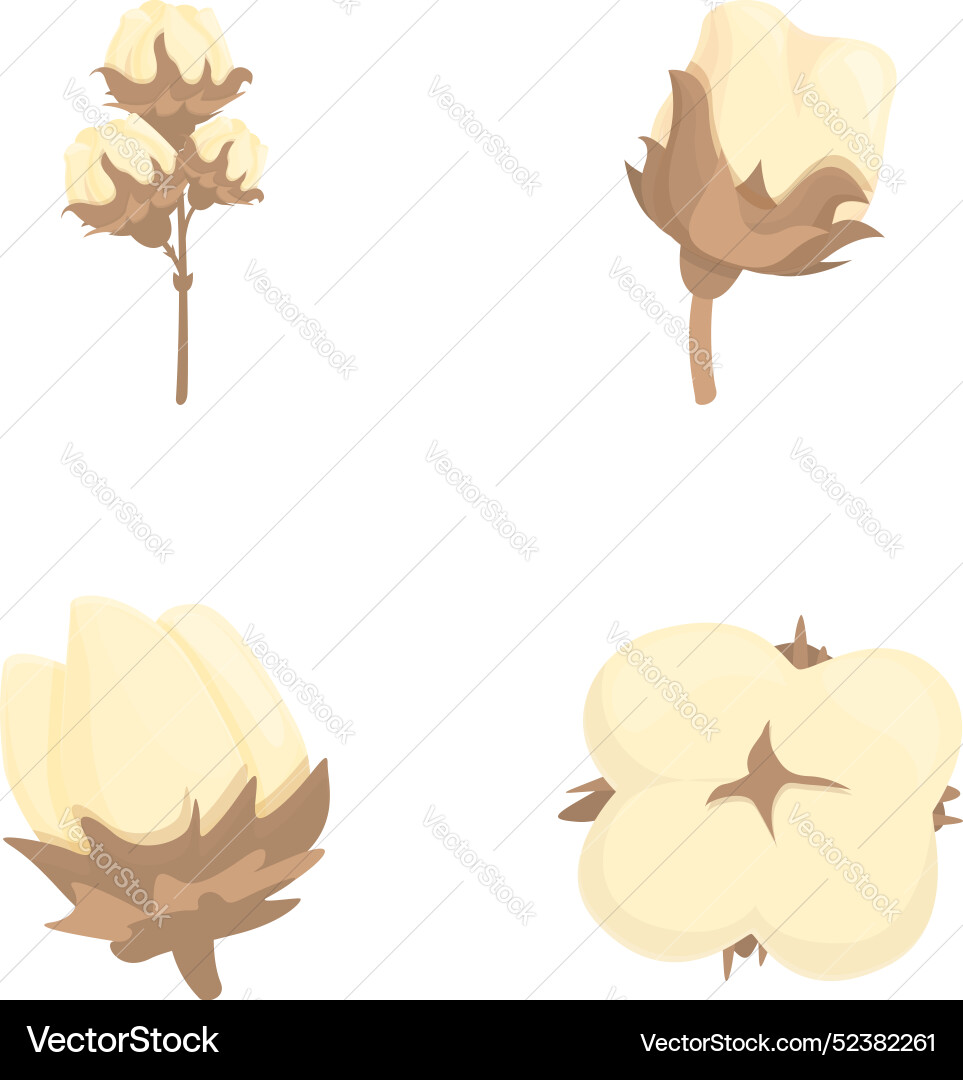 Cotton plant set isolated on white Royalty Free Vector Image