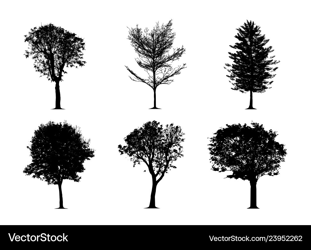 Silhouette tree set Royalty Free Vector Image - VectorStock