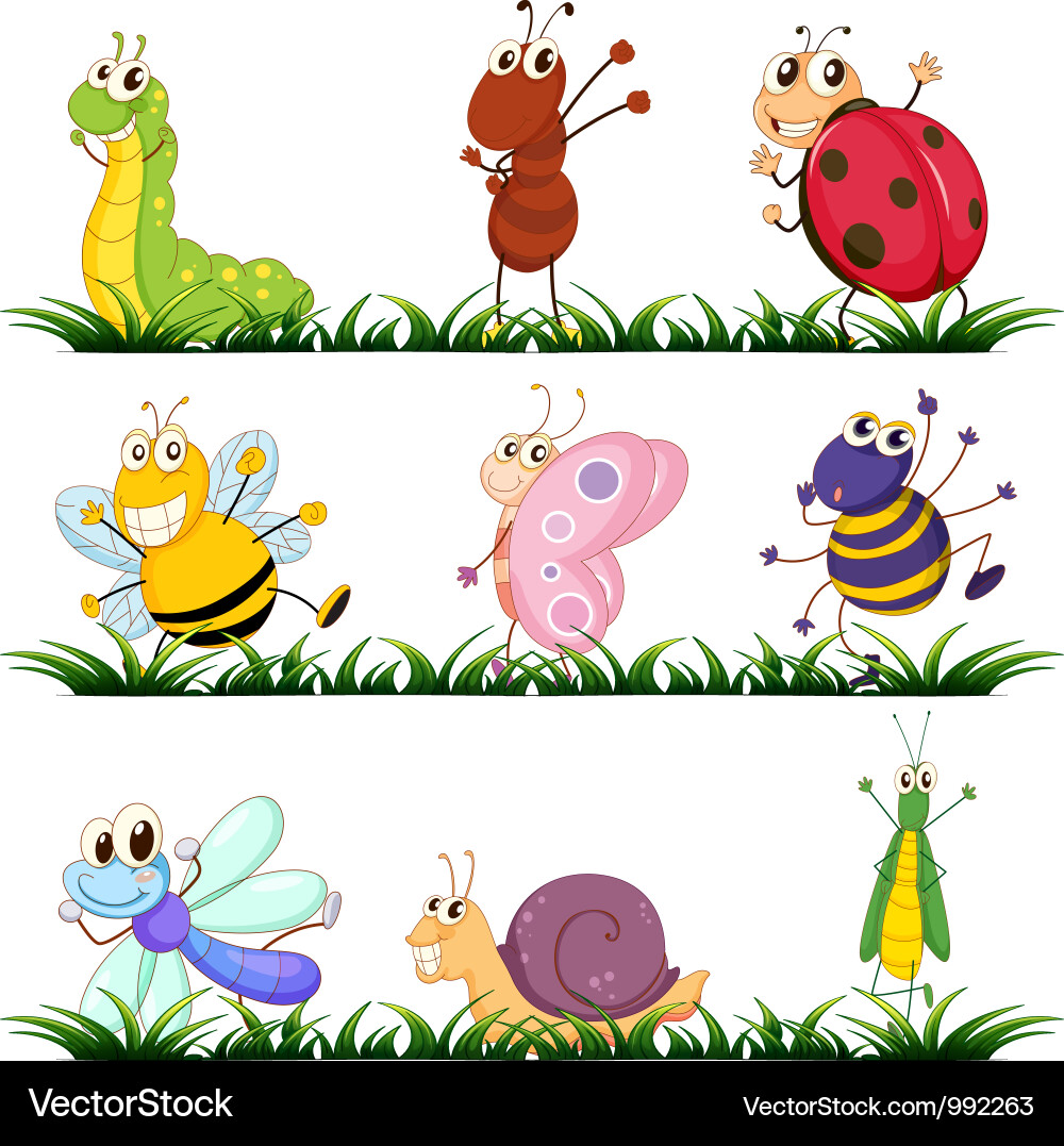 Cartoon insects set Royalty Free Vector Image - VectorStock