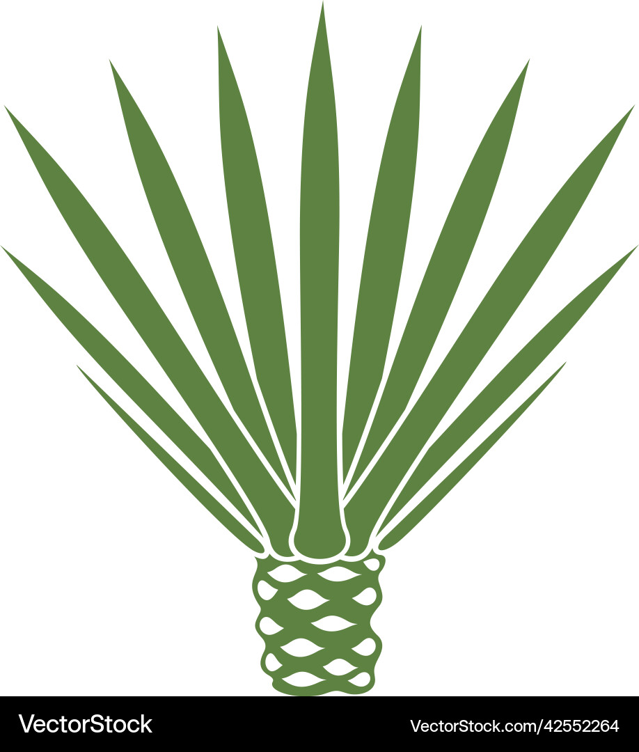 Agave Royalty Free Vector Image - VectorStock