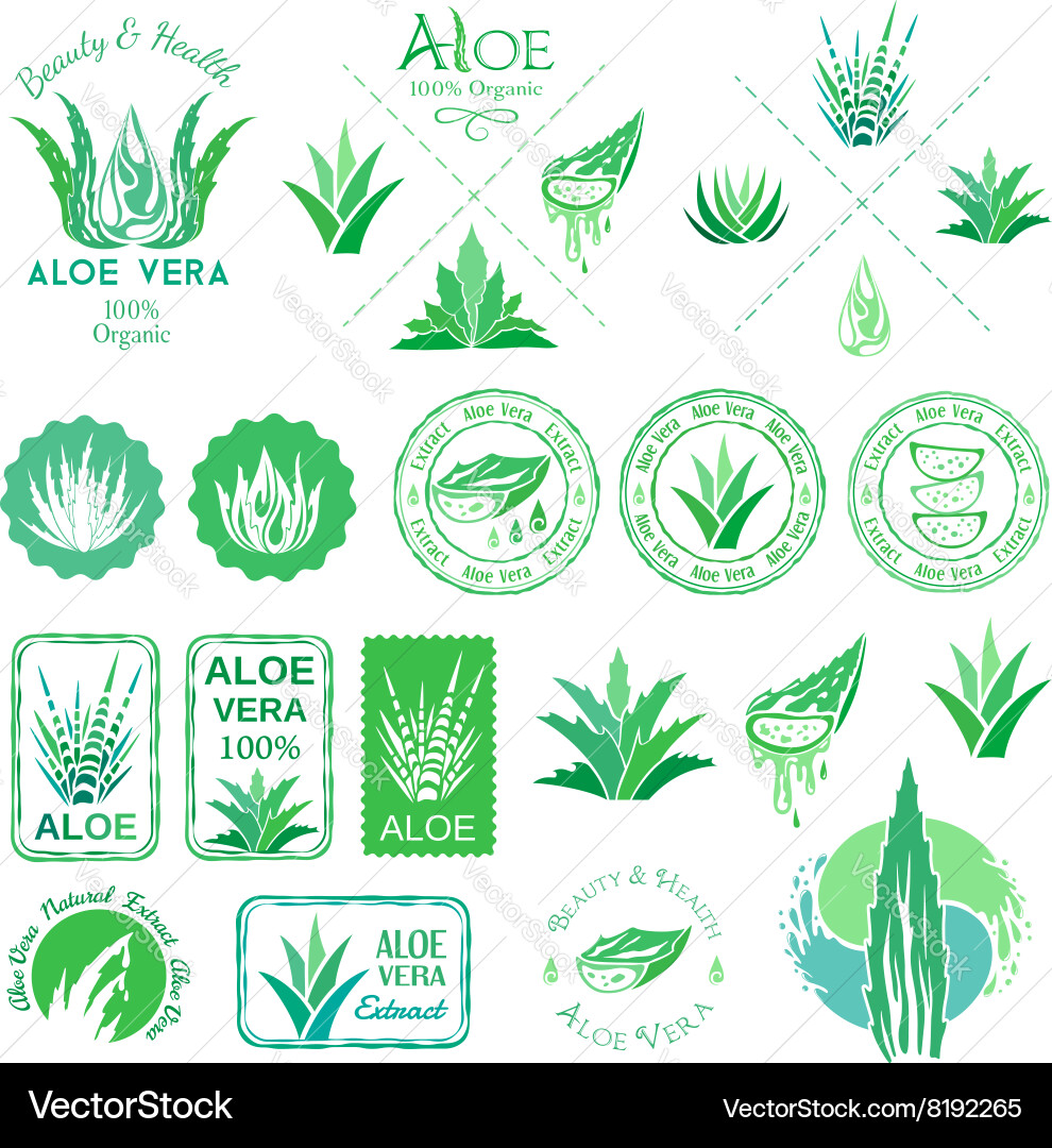 Aloe vera design elements stencil style Royalty Free Vector