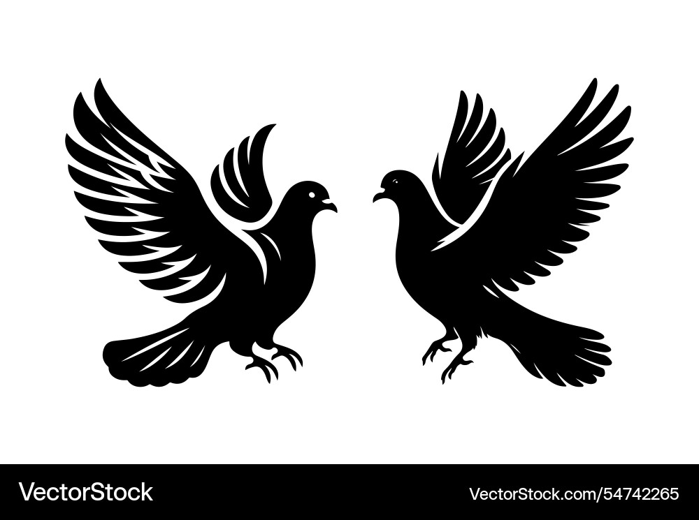 Pigeon silhouette Royalty Free Vector Image - VectorStock