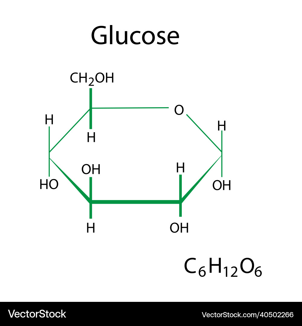 Glucose chemical formula organic compound Vector Image