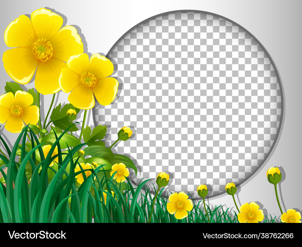 Round frame transparent with yellow flower Vector Image
