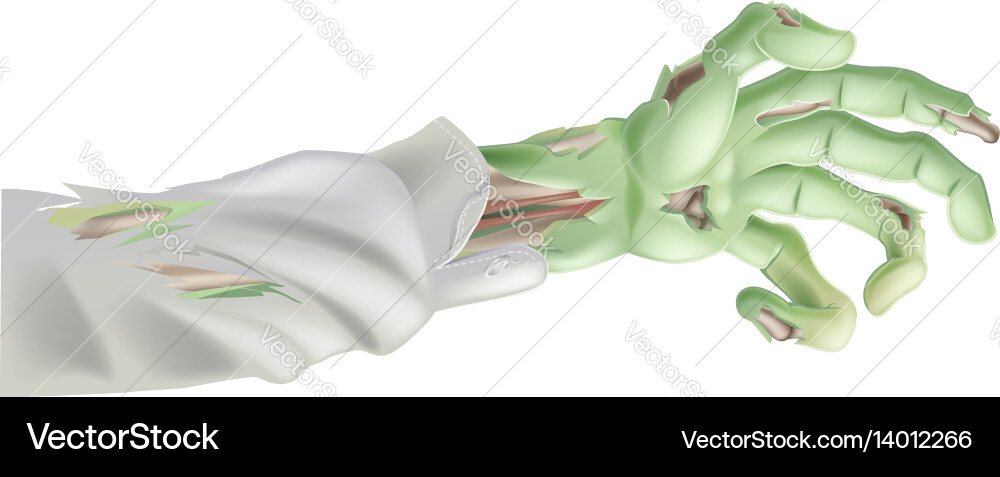 Scary Zombie Arm Royalty Free Vector Image - VectorStock