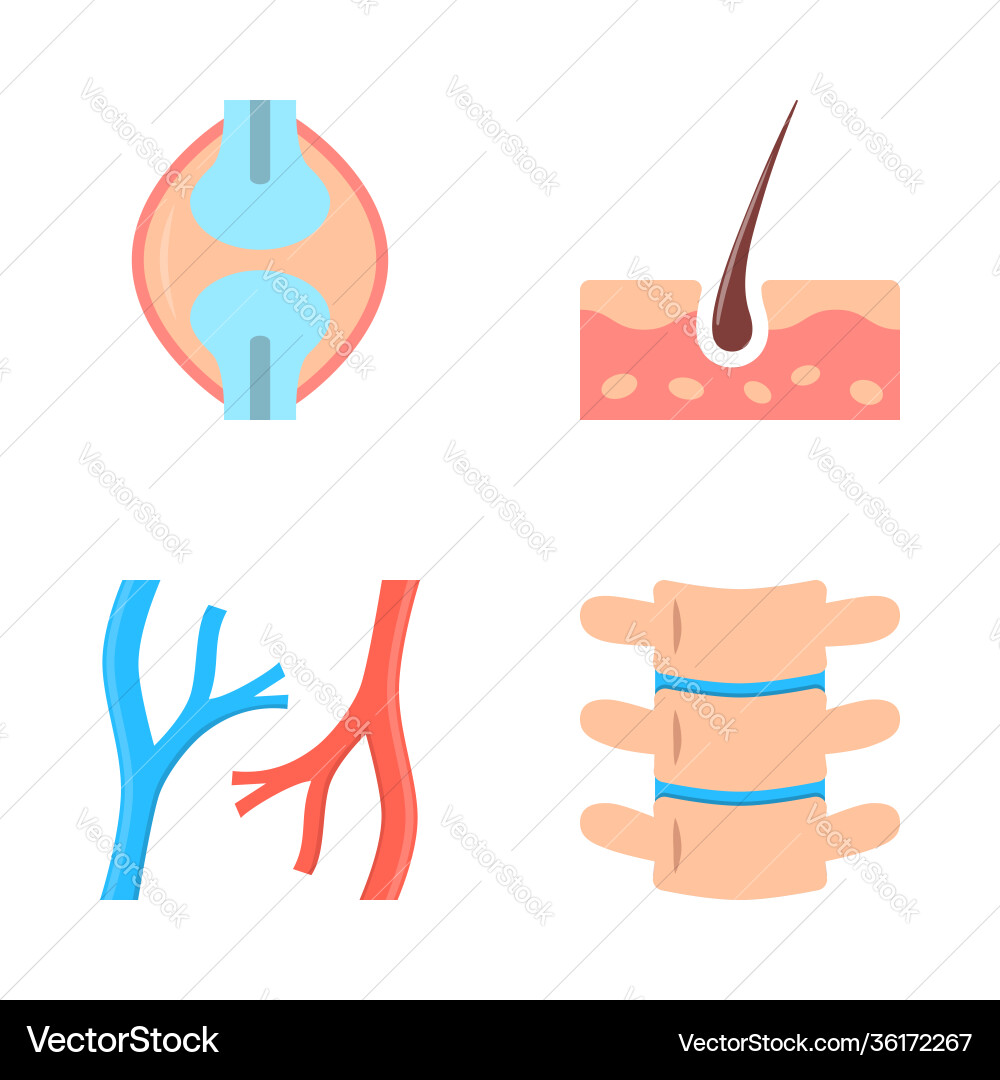 Human Organ Icon Set - Anatomy Royalty Free Vector Image