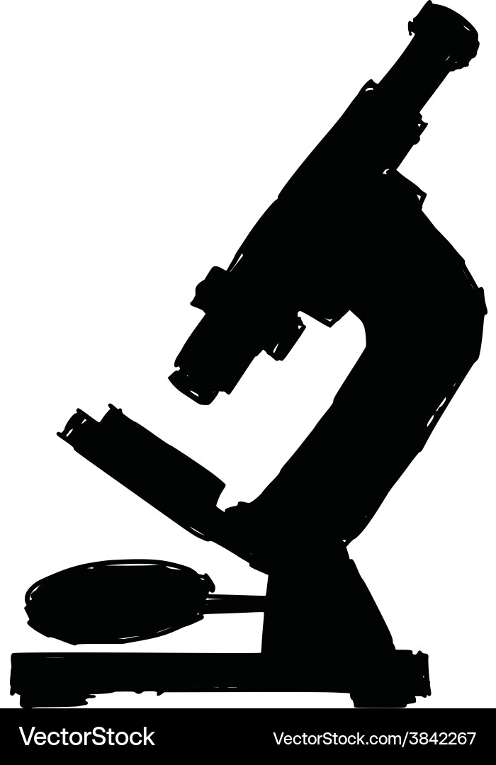 Microscope Royalty Free Vector Image - VectorStock