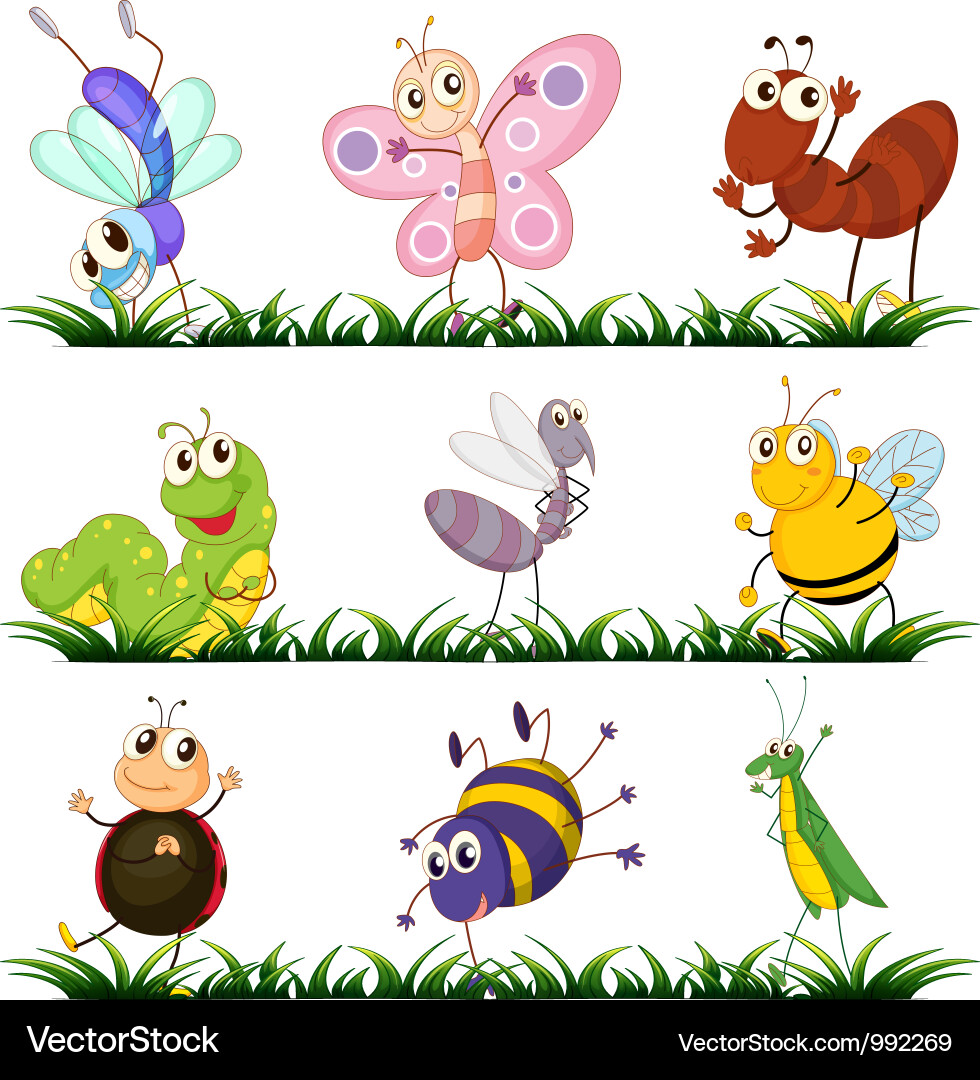 Vector Cartoon Insects Set Insects Clipart Stock Vector Insects