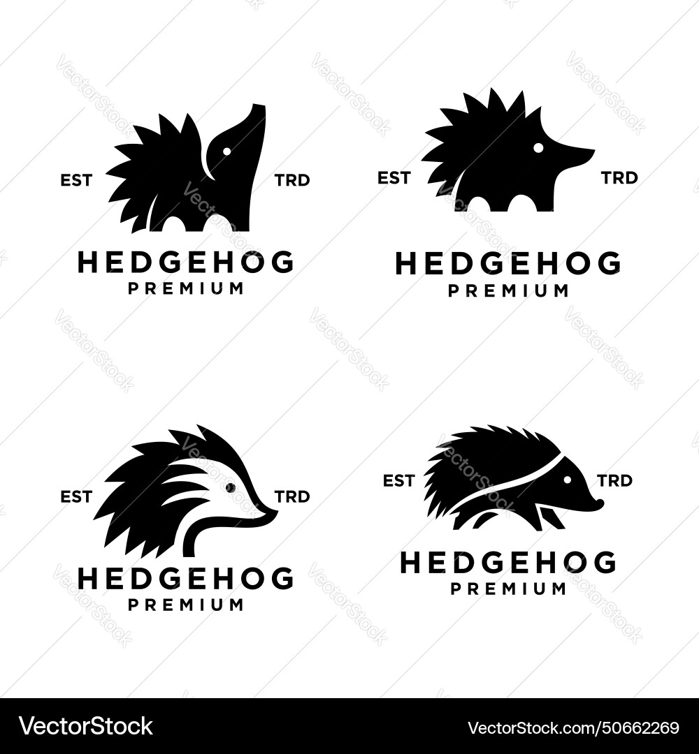 Hedgehog logo icon design Royalty Free Vector Image