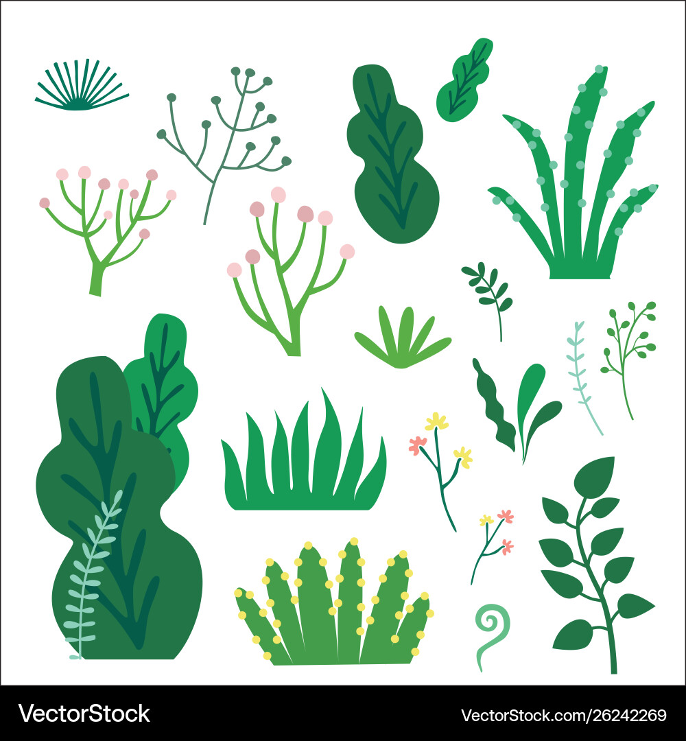 Plants set Royalty Free Vector Image - VectorStock